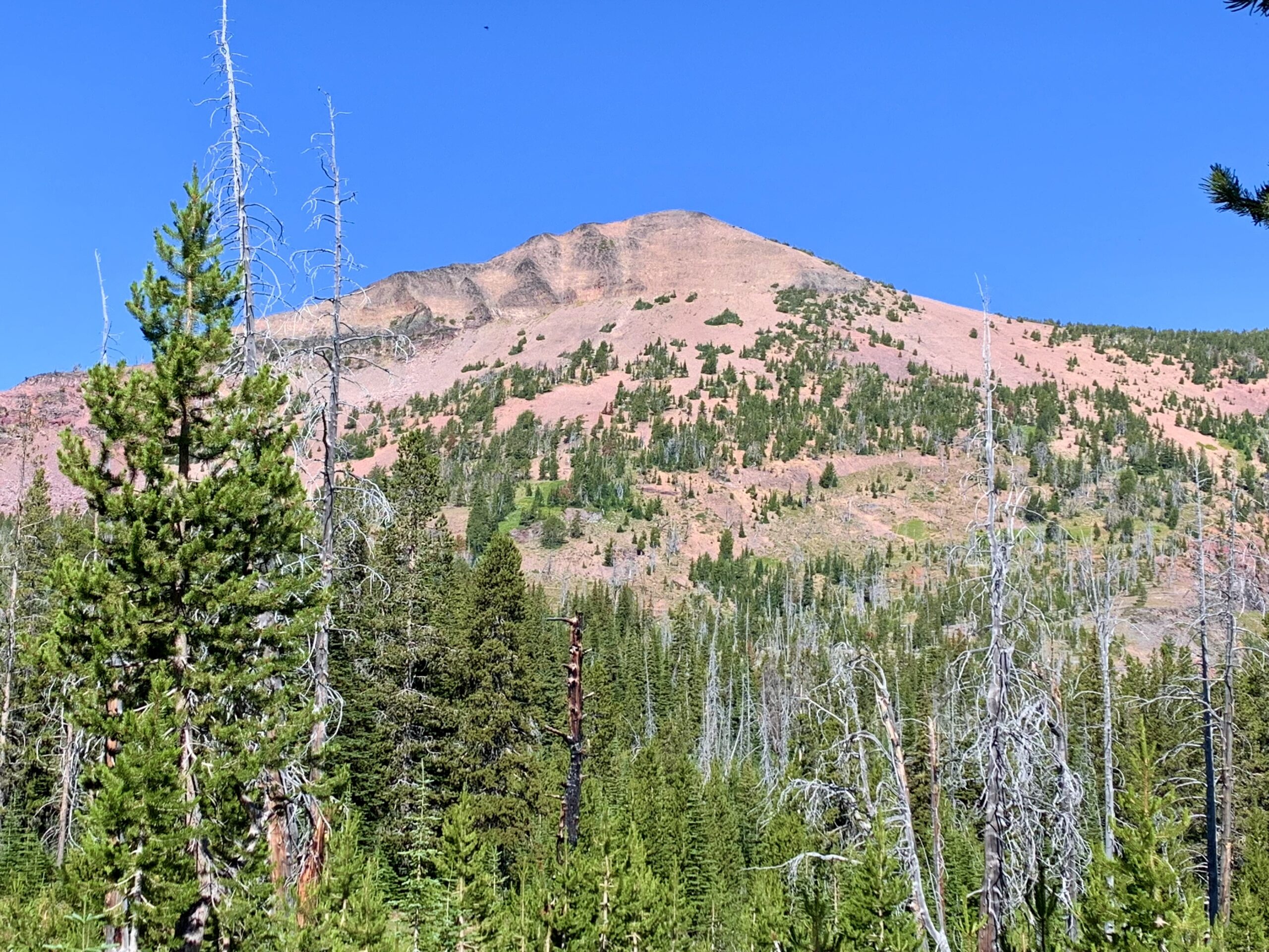 Strawberry mountain store