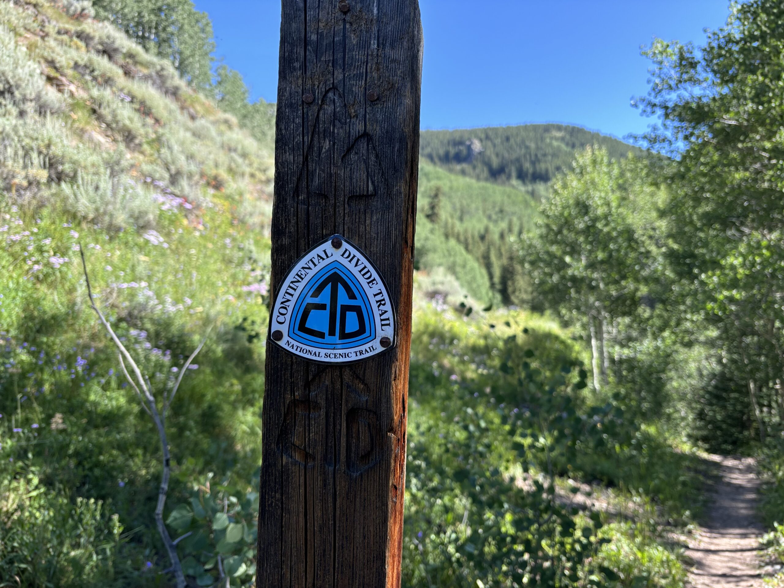Colorado Trail Day 9: Holy Cross Wilderness - Outdoor Pilgrim