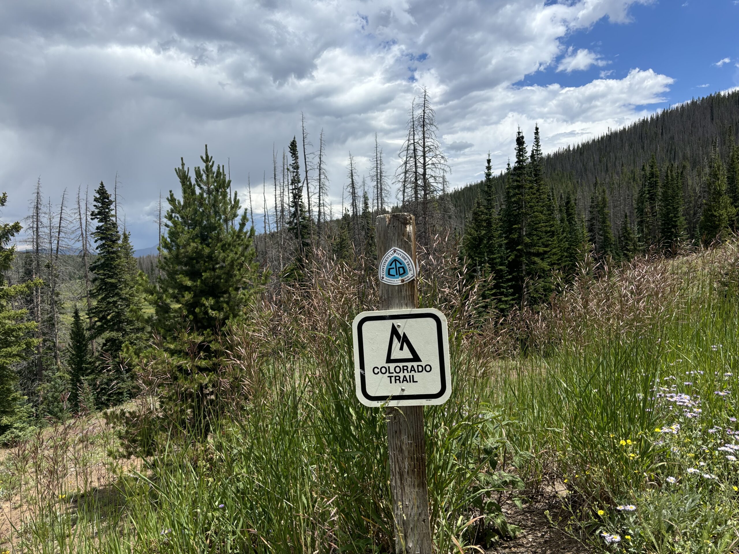 Colorado Trail Day 16: A Return to the Colorado Trail - Outdoor Pilgrim